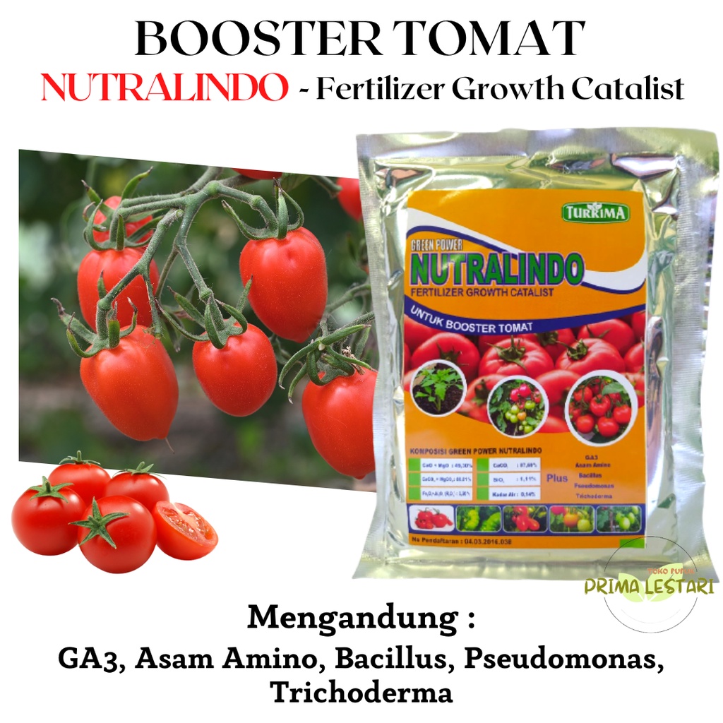 Jual Pupuk Perangsang Buah Tomat, Pupuk Tomat Berbuah Lebat, Booster Tanaman Tomat Cepat Berbuah ...