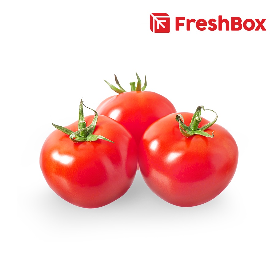 Jual Tomat Beef Hidroponik 500gr | Shopee Indonesia