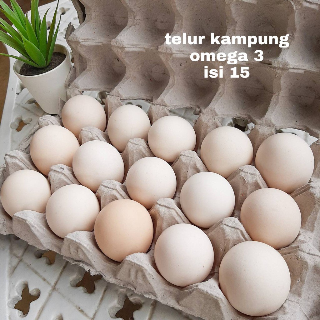 Jual Telur Ayam Kampung Omega 3 [15 Butir] | Shopee Indonesia
