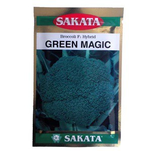 Jual Sakata Seed Broccoli F1 Green Magic - Benih Brokoli -10 gram | Shopee Indonesia