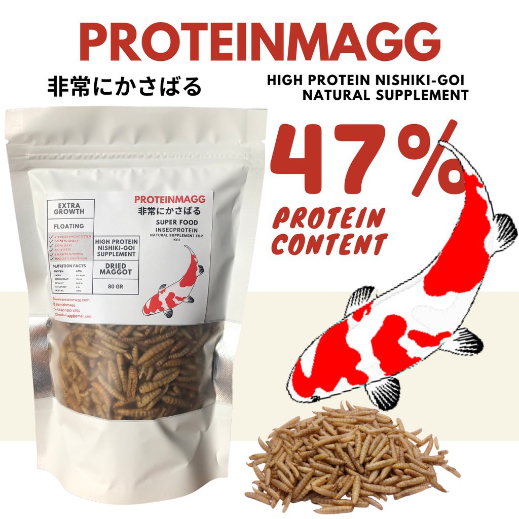 Jual ProteinMagg Natural Supplement Protein – Suplemen Protein Alami ...