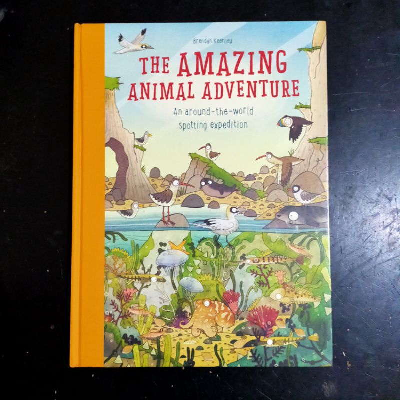 Jual The Amazing Animal Adventure An Around The World Spotting ...