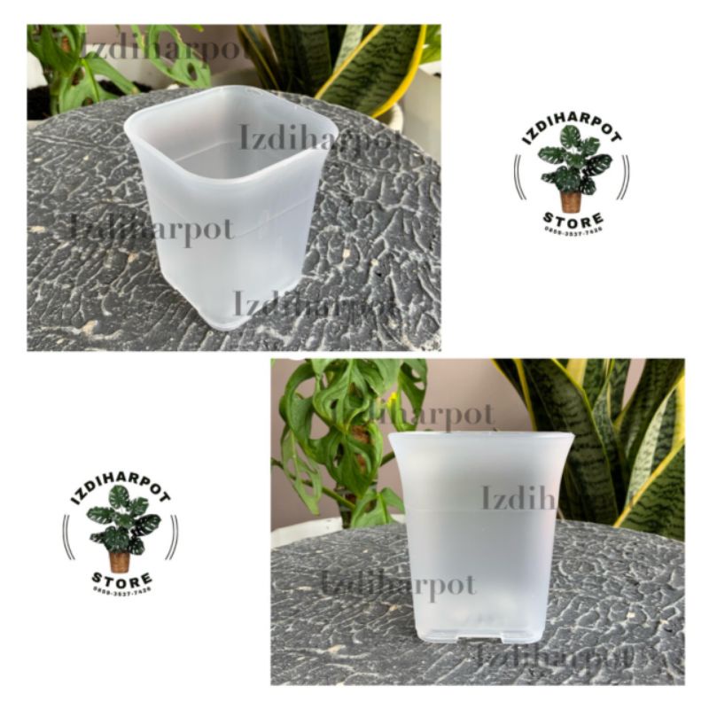 Jual POT BUNGA TANAMAN KOTAK JUOSS 7 BENING TRANSPARAN - NKT KOTAK 7 ...