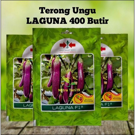 Jual BENIH BIBIT TANAMAN PERTANIAN SAYUR SAYURAN HIDROPONIK TERONG UNGU LAGUNA SP 400 BUTIR CAP ...