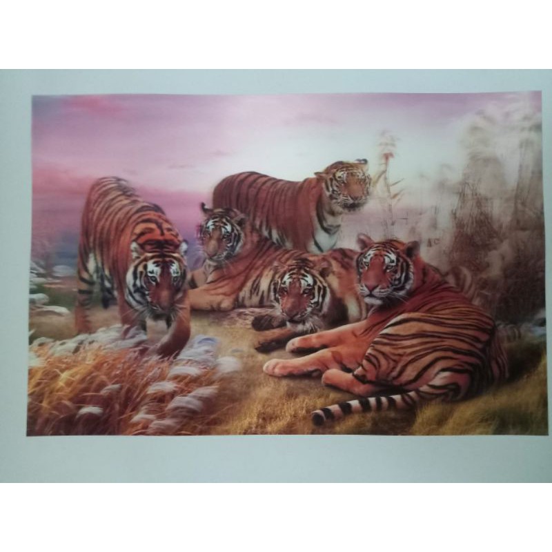 Jual POSTER HARIMAU 3 DIMENSI UKURAN 58X38 CM (terlihat hidup & nyata ...