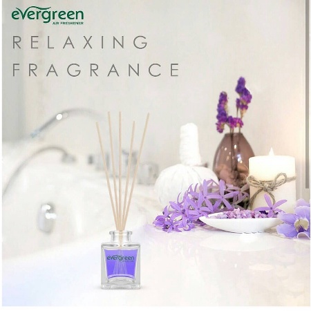 Jual PENGHARUM RUANGAN EVERGREEN REED DIFUSER WITH BOTOL SET 30ML | Shopee Indonesia