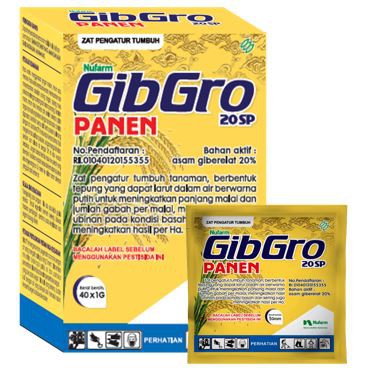 Jual GIBRO PANEN 20SP (zpt) | Shopee Indonesia