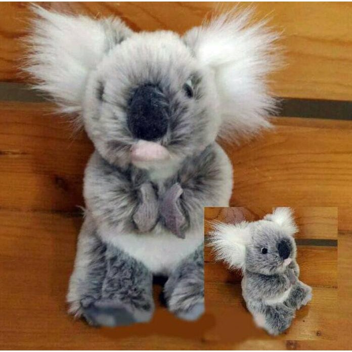 Jual KOALA IMPORT BONEKA BM2312 GT45 | Shopee Indonesia