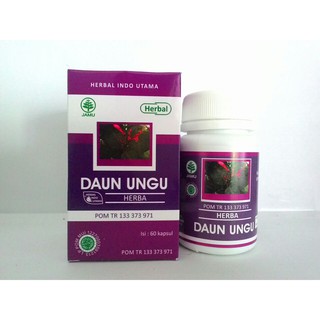 Jual Kapsul Herbal Daun Ungu Mengatasi Wasir Sembelit Asli Alami Natural Tanpa Efek Samping ...