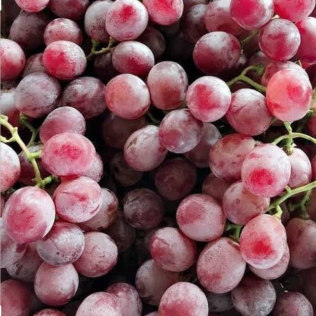 Jual Buah anggur rrc fresh | Shopee Indonesia