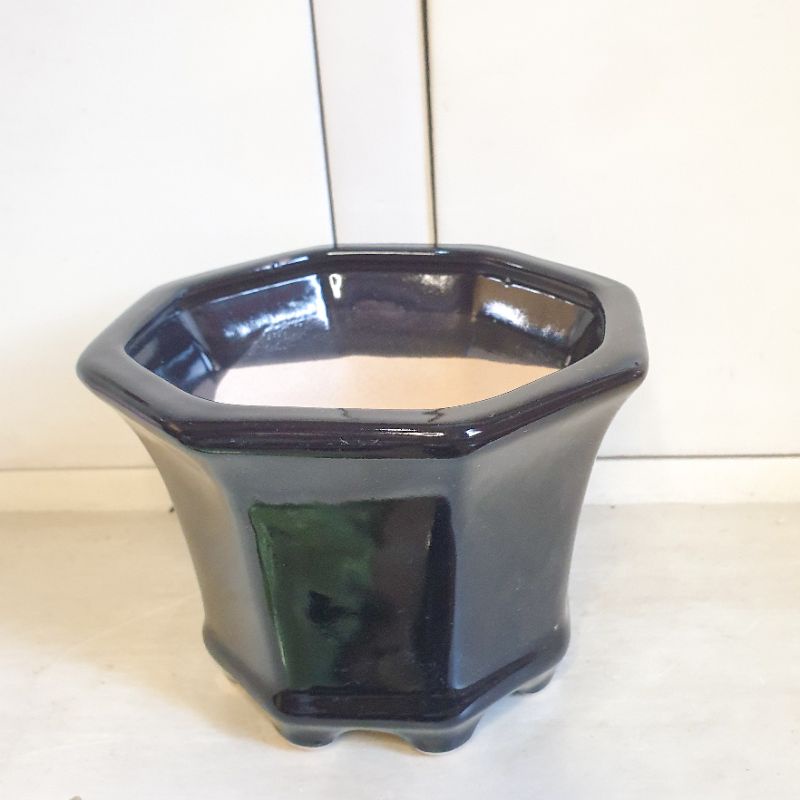 Jual KENGAI - POT KERAMIK MAME SHINTO BONSAI BESAR TFJARTISAN | Shopee ...