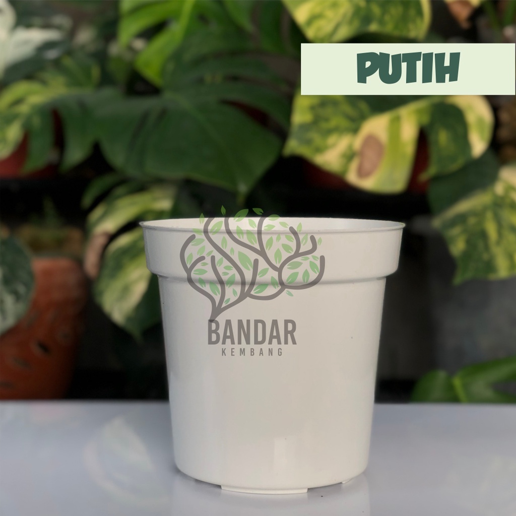 Jual Pot Tinggi Ruplas 20 A Warna Pot Bibit Tanaman Sayuran | Shopee ...