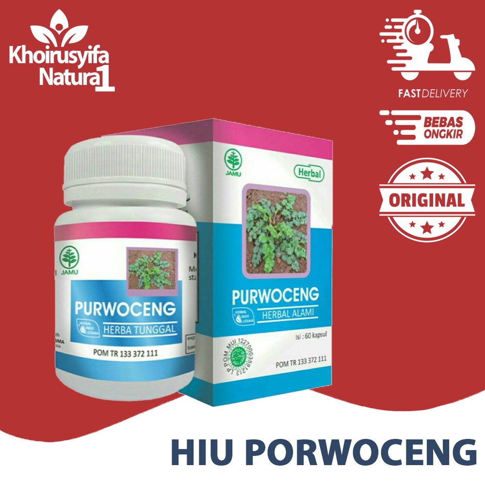 Jual HIU PURWOCENG MEMELIHARA STAMINA 60 KAPSUL | Shopee Indonesia