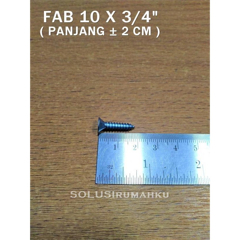 Jual 100 Skrup Philips FAB 10 x 3/4" Kepala Rata Tapping Screw 4,7x19 ...