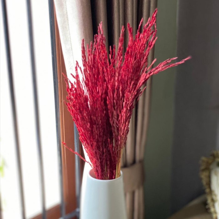Jual Bunga Padi Kering Wheat Dried Flower - Hiasan Buket Bunga Kering ...