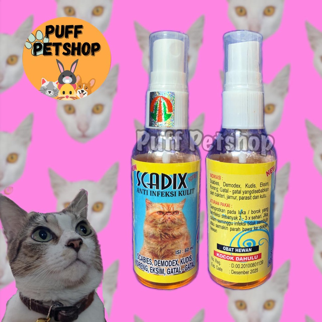 Jual Scadix Obat Jamur Scabies Kudis Koreng Gatal Infeksi Kulit Kucing ...