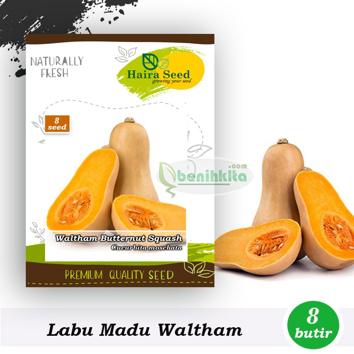 Jual Benih-Bibit Labu Madu Winter Waltham (Haira Seed) | Shopee Indonesia