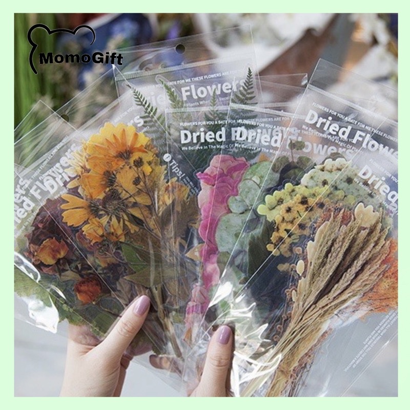 Jual Stiker Bunga Kering Sticker Pack Flowers 1 Set 6 Pcs - SP16 ...