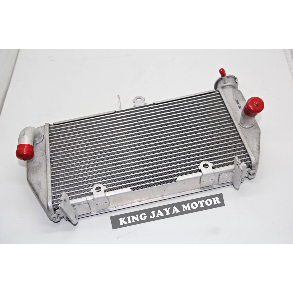 Jual Radiator Yamaha R25 R 25-MT25 MT25 Mlkunl | Shopee Indonesia