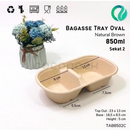 Jual Tempat Makan - Bagasse Oval 850ml Sekat 2 dan Tanpa Sekat Tutup PET/PP 10 PCS | Shopee ...