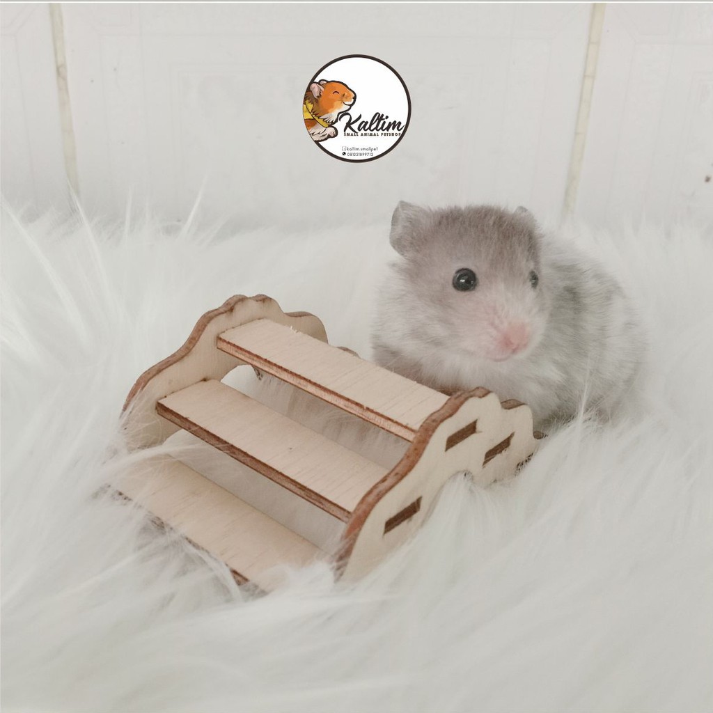 Jual Jembatan Hamster Mini | Mainan Hamster | Dekorasi Kandang | Shopee ...