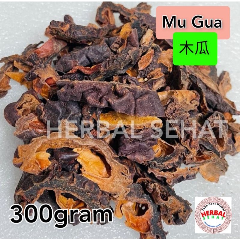 Jual 300 gram Mu Gua - Mugua - Fructus Chaenomelis Lagenariae - Muk Ka ...