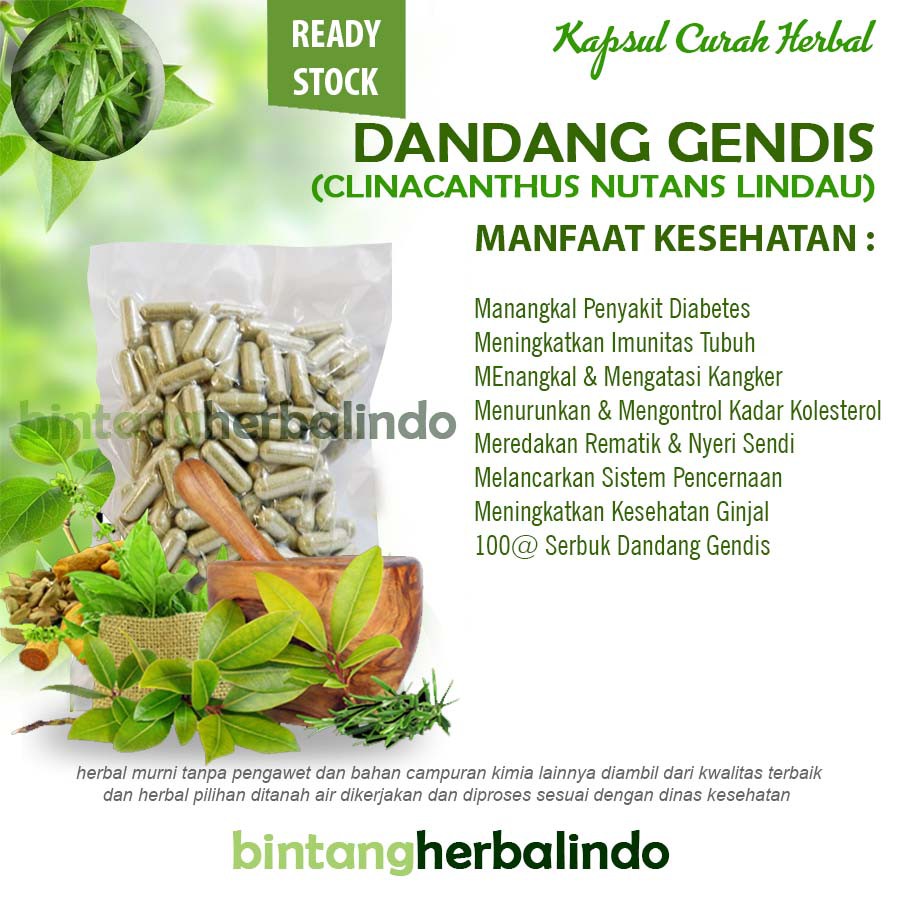 Jual DANDANG GENDIS Kapsul Curah Herbal 200x600mg Kencing Batu Imunitas ...