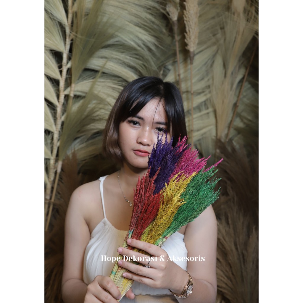 Jual BUNGA CORNELIA KERING RUSTIC | Shopee Indonesia