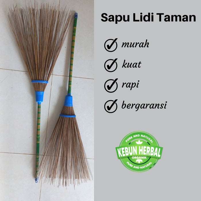 Jual New Sapu Lidi Taman Gagang Kayu Panjang - bentuk oval rapi dan ...