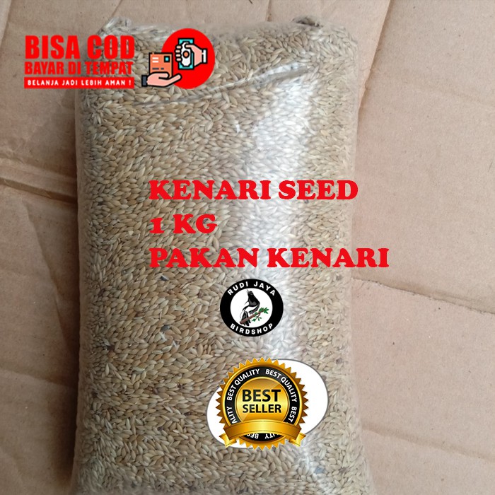 Jual KENARI SEED 1 KG CANARY SEED GRADE A PAKAN MAKANAN BURUNG KENARI ...
