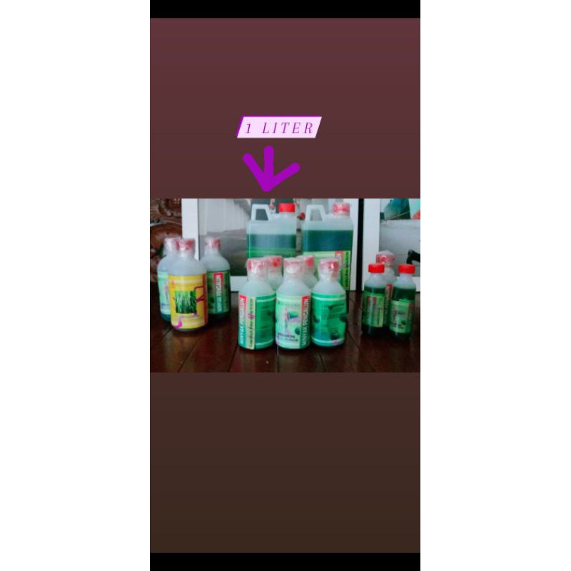 Jual MINYAK KEMKEM KUSUK PIJIT PARAM MINYAK KARO BATAK TELON BAYI URUT ...