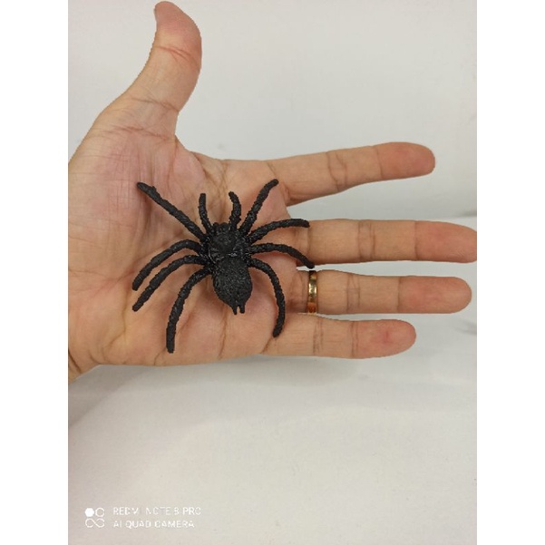 Jual mainan karet laba laba hitam 8cm | Shopee Indonesia