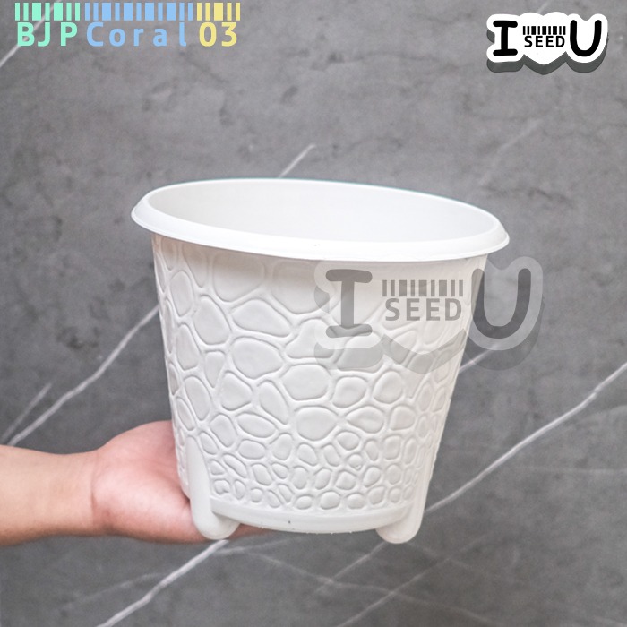 Jual Pot Bunga Coral 20cm 03 Putih (BJP) | Shopee Indonesia