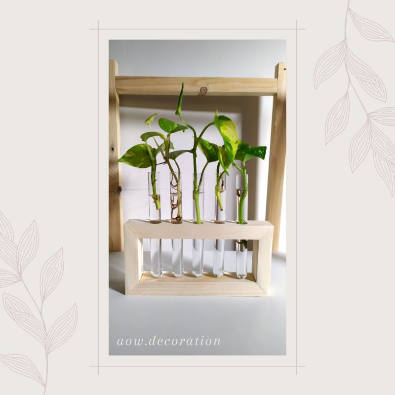Jual Hampers Vas Bunga Vas Kaca / Tabung Reaksi / Plant Propagation ...
