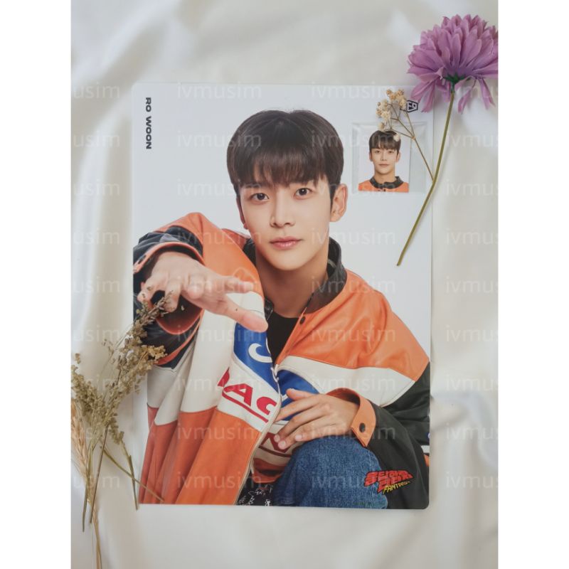 Jual Poster Board dan ID Card Photo Rowoon SF9 | Shopee Indonesia