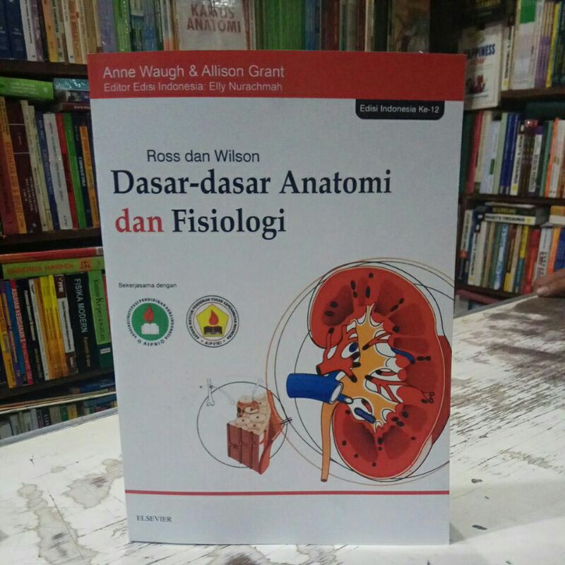 Jual DASAR-DASAR ANATOMI DAN FISIOLOGI | Shopee Indonesia
