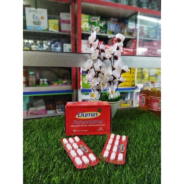 Jual DUMIN PARACETAMOL TABLET | Shopee Indonesia