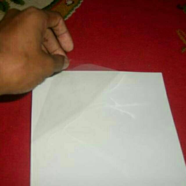 Jual Kertas stiker pecah telur | Shopee Indonesia