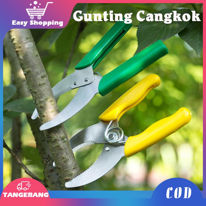 Jual Gunting Cangkok/Gunting Khusus Untuk Mencangkok/Tanaman Gunting ...
