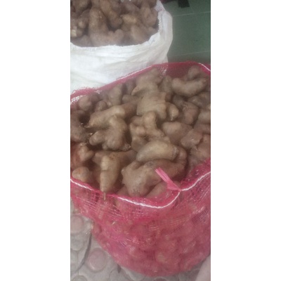 Jual UMBI GEMBILI/KEMBILI Jahe ketan 1kg | Shopee Indonesia