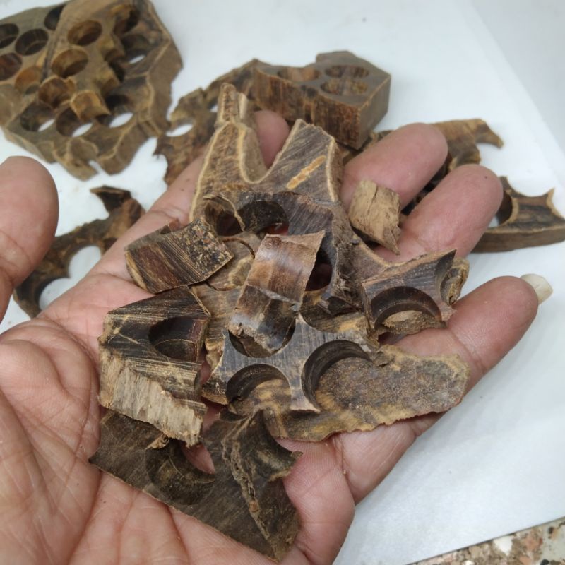 Jual Chip Kayu Gaharu Kalimantan Grade A 500 gram | Shopee Indonesia
