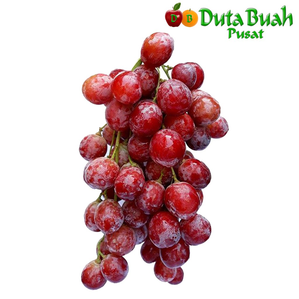 Jual DUTA BUAH Anggur Red Globe Premium DB [+-450g-500g/pack] | Shopee ...