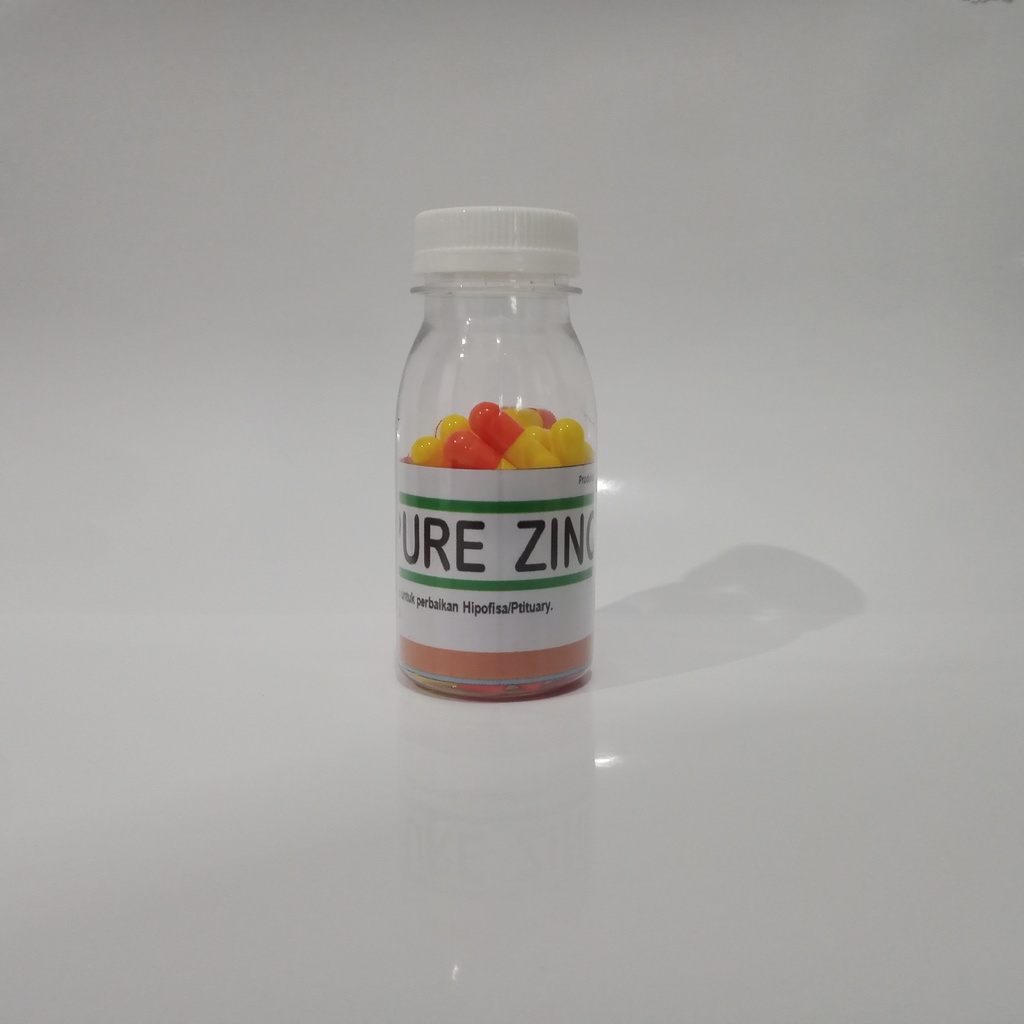 Jual PURE ZINC ; Isi : 250 kapsul (50 kapsul x 5 botol) | Shopee Indonesia
