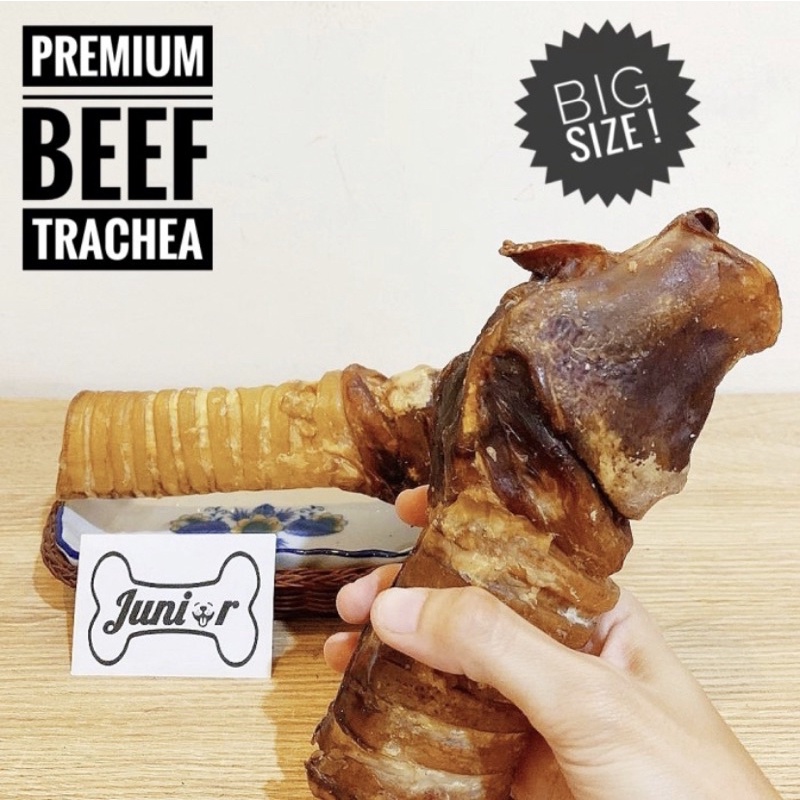 Jual Premium Beef Trachea / Dog Snack Trakea Sapi / Air Dried Beef ...
