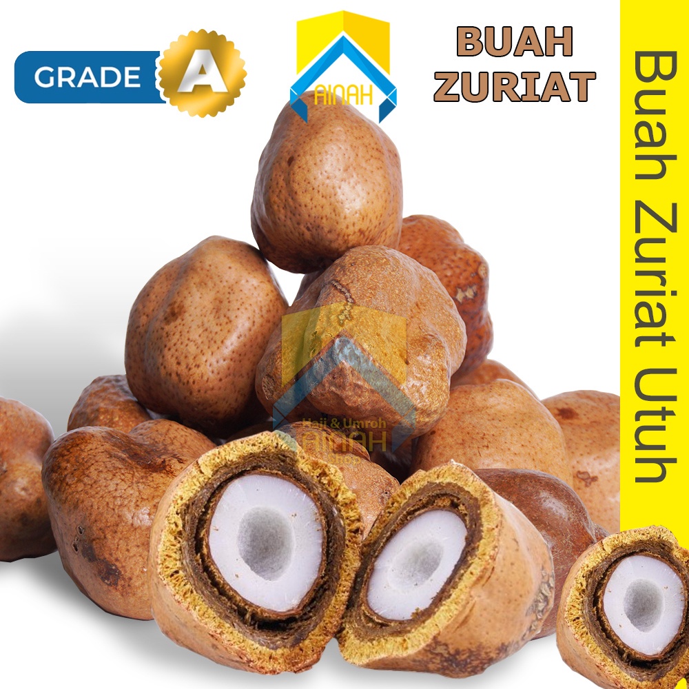 Jual Buah Zuriat Promil Mesir 500g | Buah Doum / Zuriat Mesir Original ...