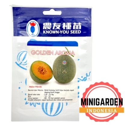 Jual MELON GOLDEN AROMA 100 BIJI PACK BESAR benih biji buah melon ...