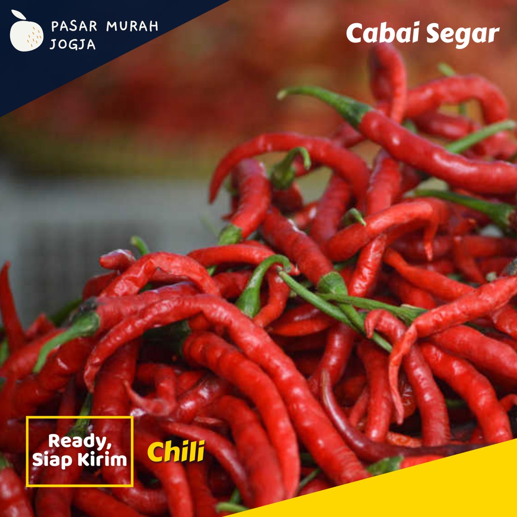 Jual Cabe Merah Keriting Fresh 500gr Cabai Merah Segar Bumbu Dapur ...
