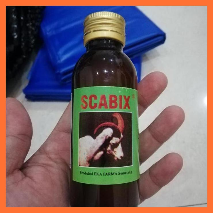 Jual Scabix : Obat Penyakit Kulit Kambing Domba Sapi Scabies Gudig ...