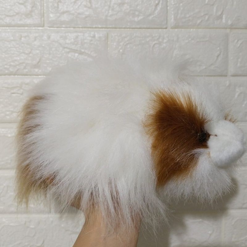 Jual Boneka Marmut Lucu | Shopee Indonesia