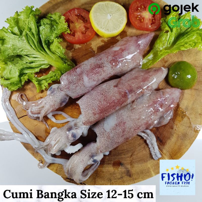 Jual Cumi Bangka | Cumi Sedang | Cumi Cumi Beku Segar 1 Kg | Shopee ...
